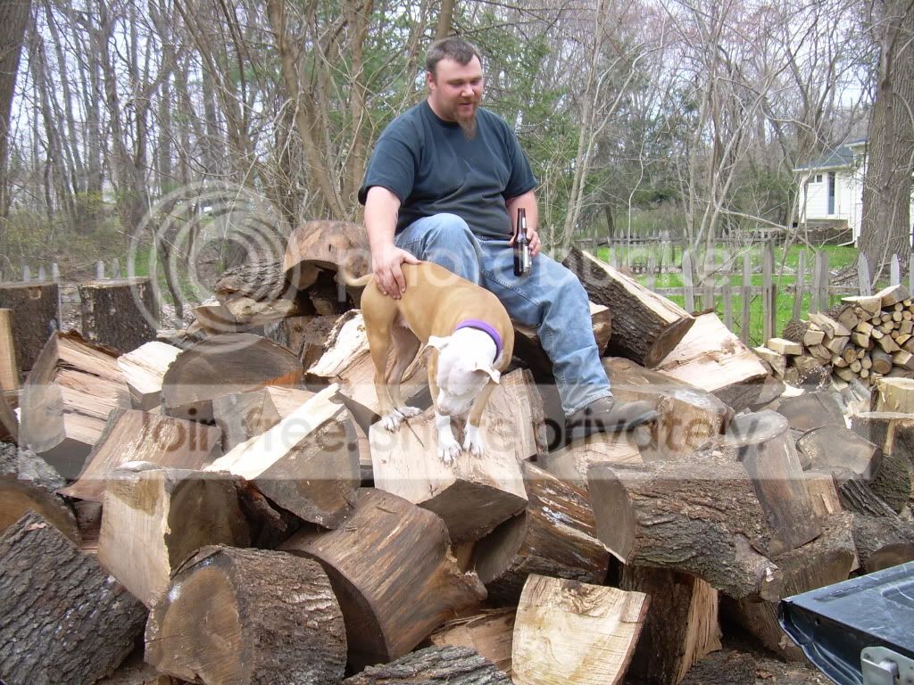 Where'd my wood go? | Arborist, Chainsaw & Tree Work Forum