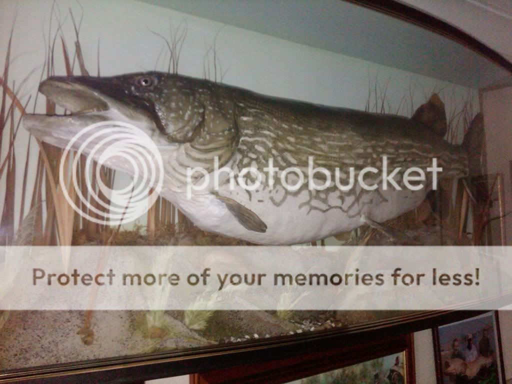 Endrick Pike - The Pikers Pit