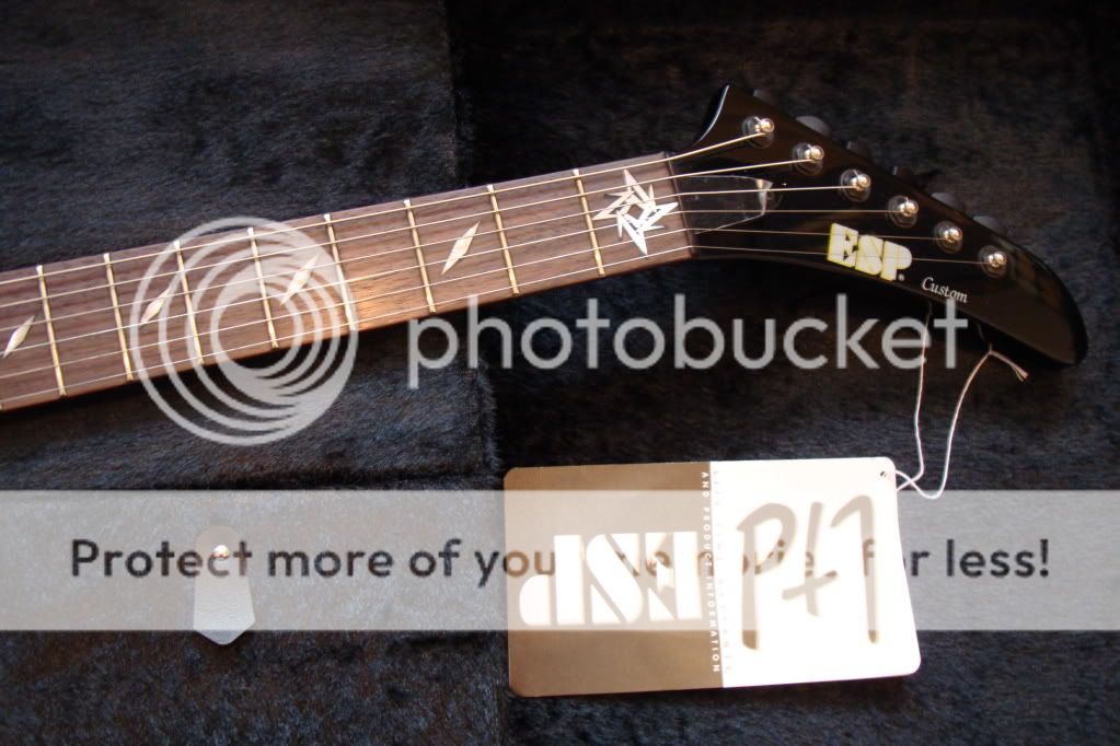 James Hetfield Diamond Plate Guitar at Victor Lopez blog